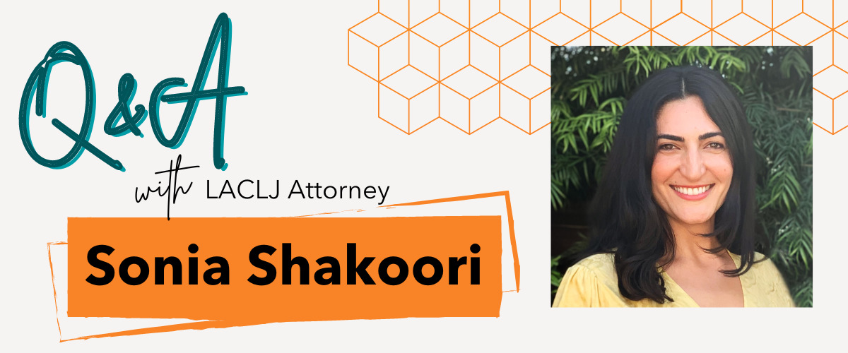 Meet Survivor Justice Center Attorney: Sonia Shakoori - Survivor ...